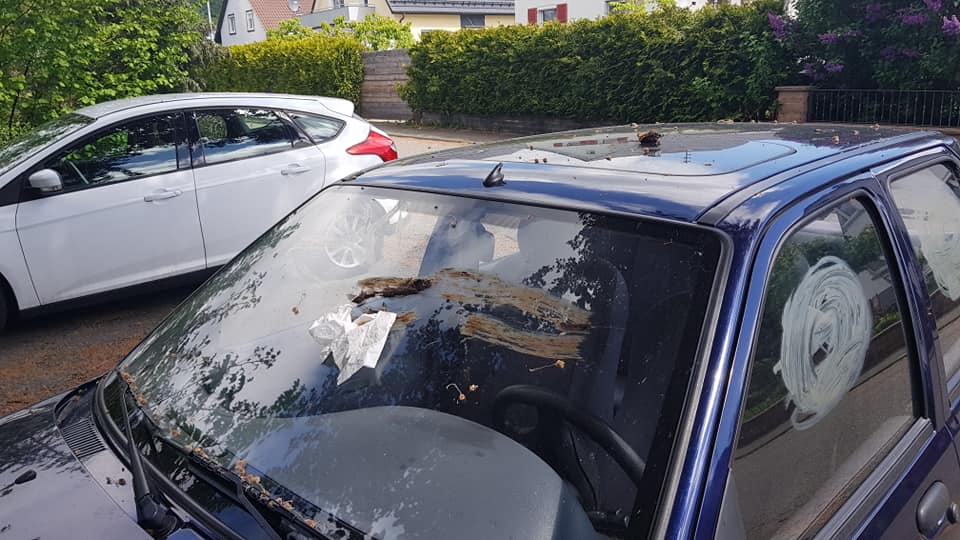 Irgendjemand hat mein Auto mit Scheiße beschmiert !!! Stinksauer ...