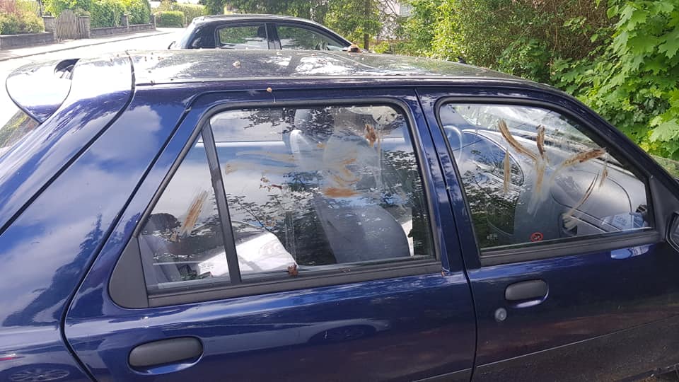 Irgendjemand hat mein Auto mit Scheiße beschmiert !!! Stinksauer ...