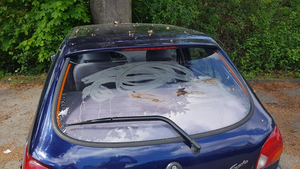 Irgendjemand hat mein Auto mit Scheiße beschmiert !!! Stinksauer ...