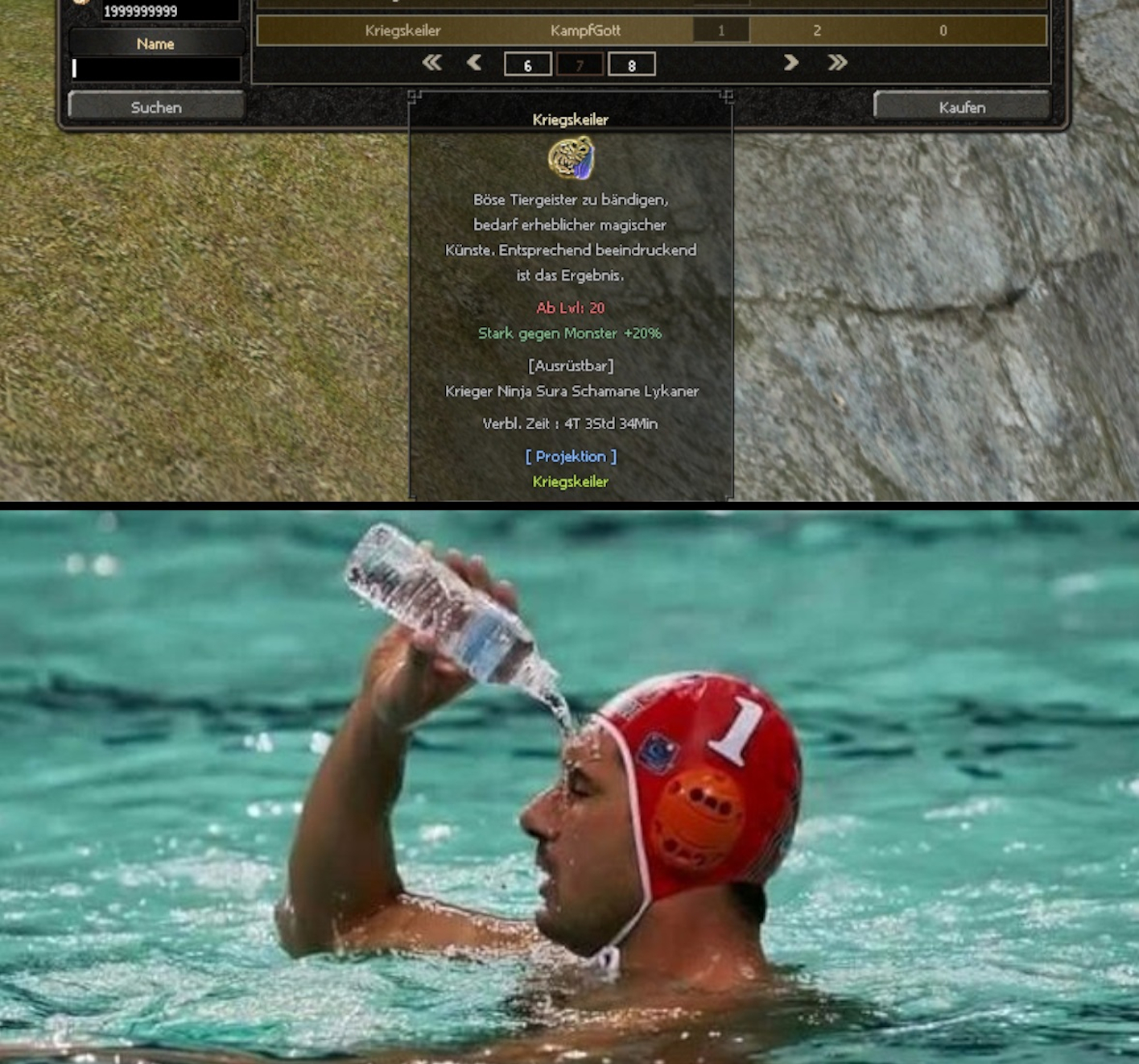 Metin memes :3 - Seite 104 - Taverne - Metin2 DE